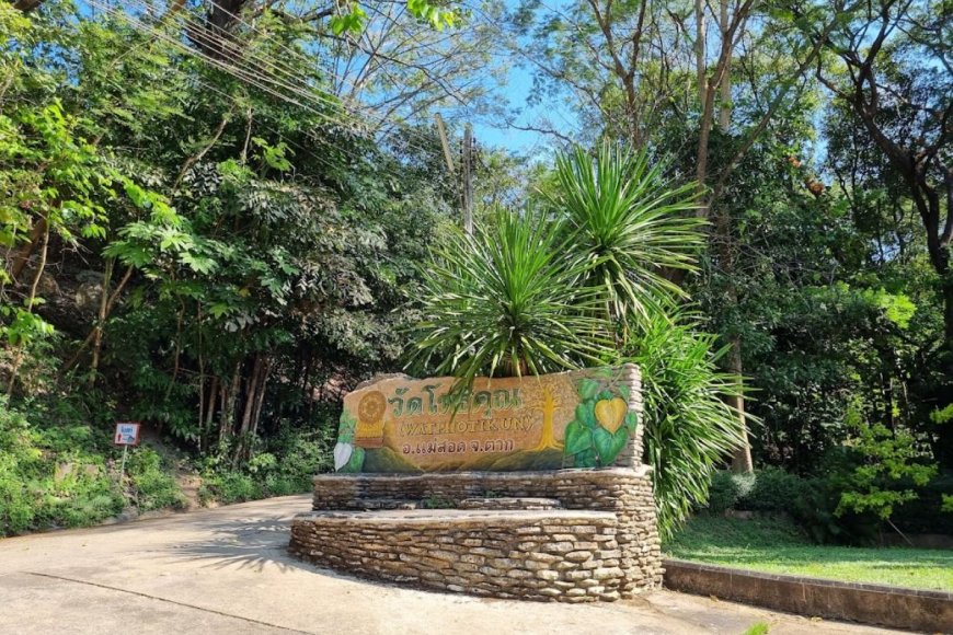 วัดโพธิคุณ (วัดห้วยเตย) - Maesotdata