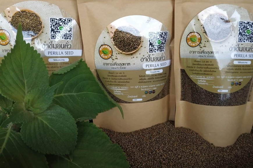 งาขี้ม้อน ยอดดอยอุ้มผาง สินค้า OTOP - Maesotdata