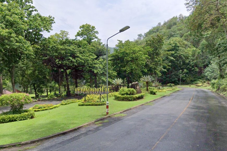 ต้นไม้ของพ่อ (สวนดอก) - Maesotdata